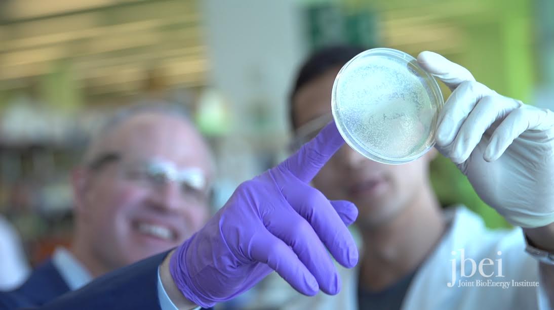 JBEI Debuts New Overview Video - jbei.org