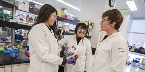 Research Experiences - jbei.org