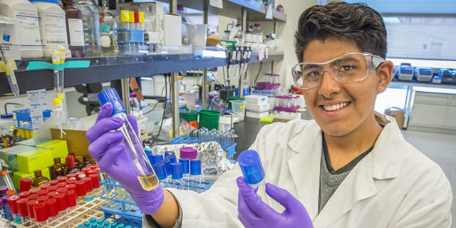 Undergraduate Research Opportunities - jbei.org