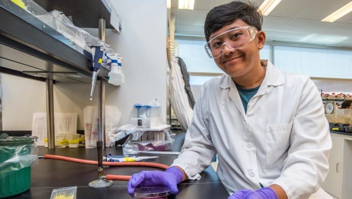 iCLEM Week Eight, by James Hoang - jbei.org