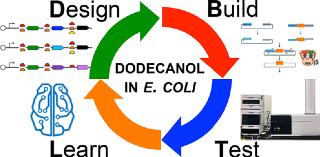 Biofuels and Bioproducts Data - jbei.org