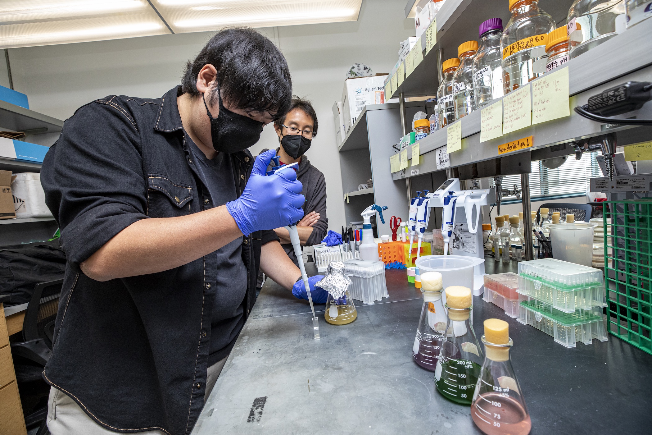 Protein Structures Aren’t Set in Stone - jbei.org