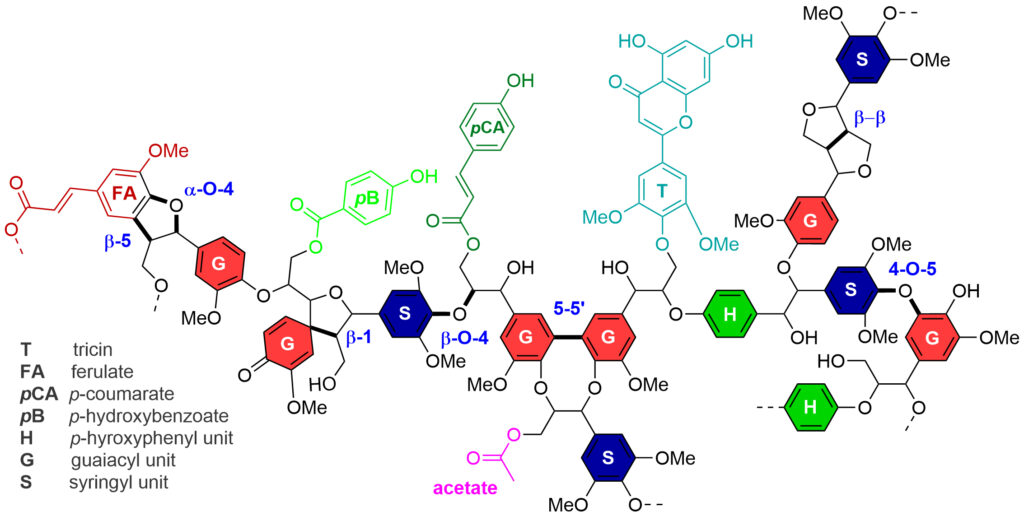 Catalytic Lignin Deploymerization - jbei.org