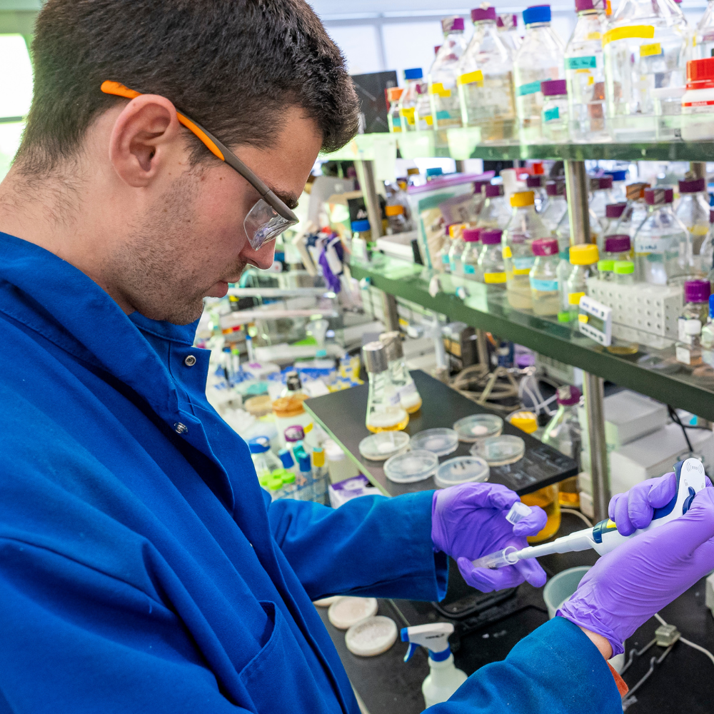 It’s Hearty, It’s Meaty, It’s Mold - jbei.org