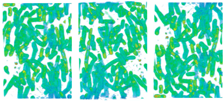 Host Engineering - jbei.org