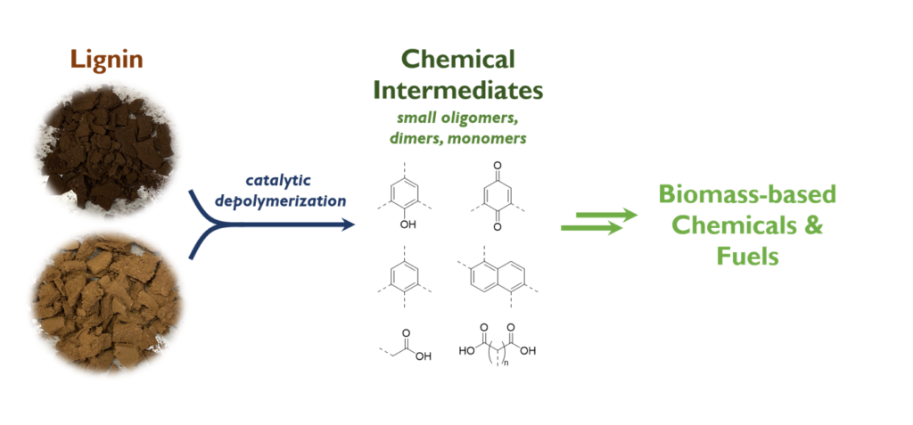 Catalytic Lignin Depolymerization - jbei.org